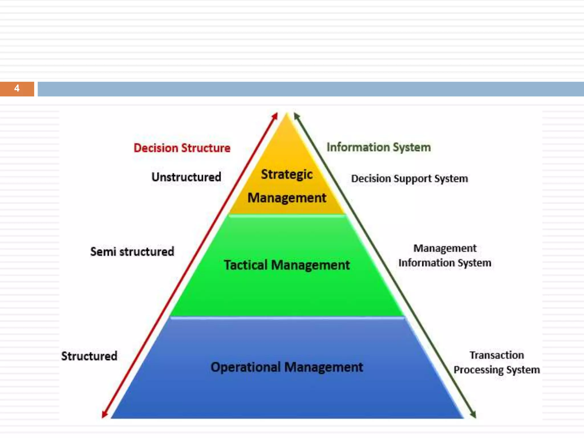 Organizing Process | PPTX