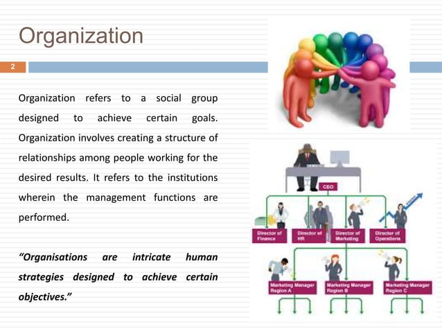 Organizing Process | PPTX