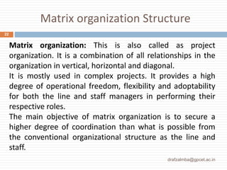 Organizing Process | PPTX