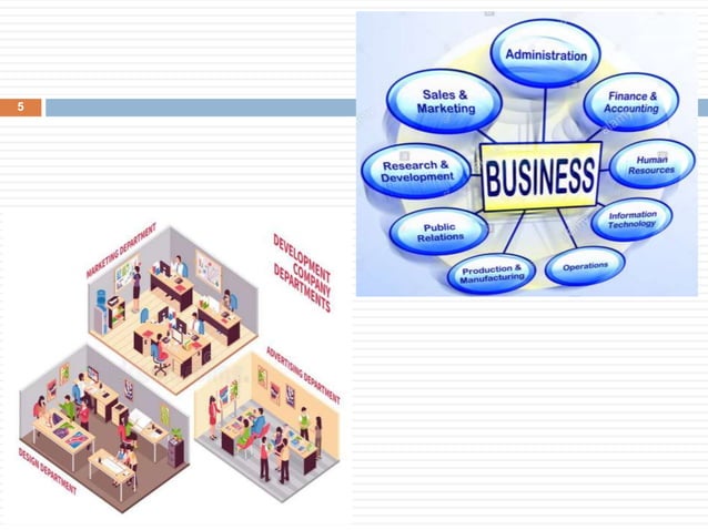 Organizing Process | PPTX