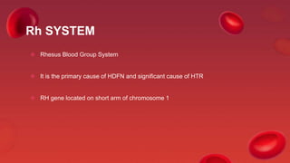 MAJOR BLOOD GROUPS, ABO(ISBT001) and RH(ISBT004) | PPTX