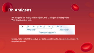 MAJOR BLOOD GROUPS, ABO(ISBT001) and RH(ISBT004) | PPTX