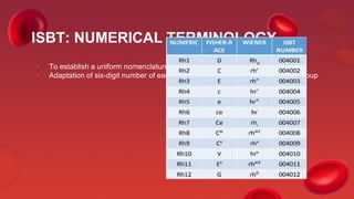 MAJOR BLOOD GROUPS, ABO(ISBT001) and RH(ISBT004) | PPTX