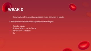 MAJOR BLOOD GROUPS, ABO(ISBT001) and RH(ISBT004) | PPTX