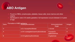 MAJOR BLOOD GROUPS, ABO(ISBT001) and RH(ISBT004) | PPTX