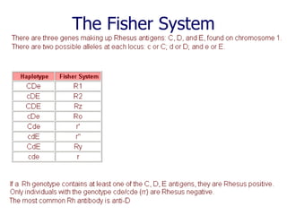 ABO RHESUS TYPING.pptx