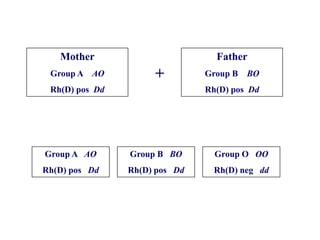 ABO RHESUS TYPING.pptx