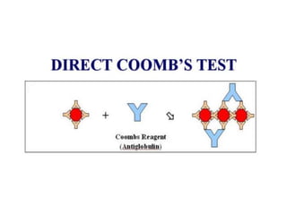 ABO RHESUS TYPING.pptx