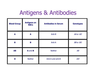 ABO RHESUS TYPING.pptx