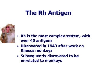 ABO RHESUS TYPING.pptx
