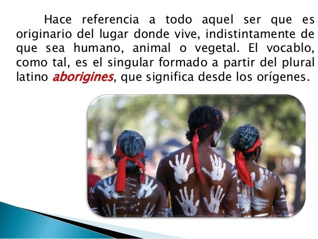 Aborigenes, Origenes caracteristicas y comportamiento