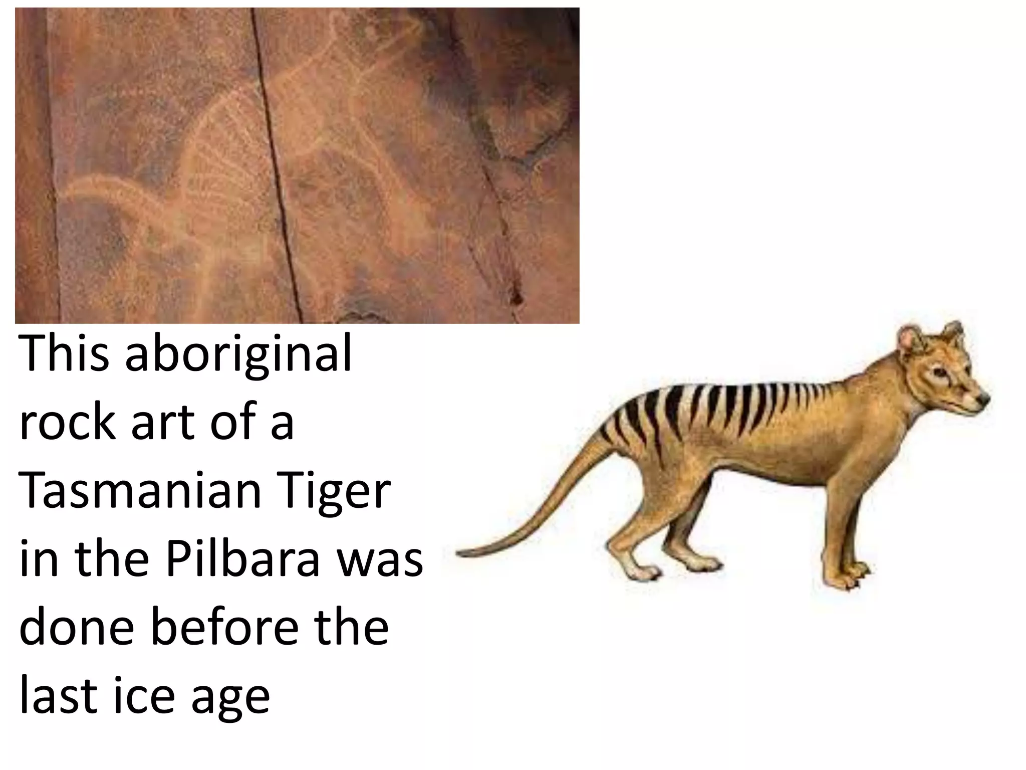Aboriginal art animals | PPTX