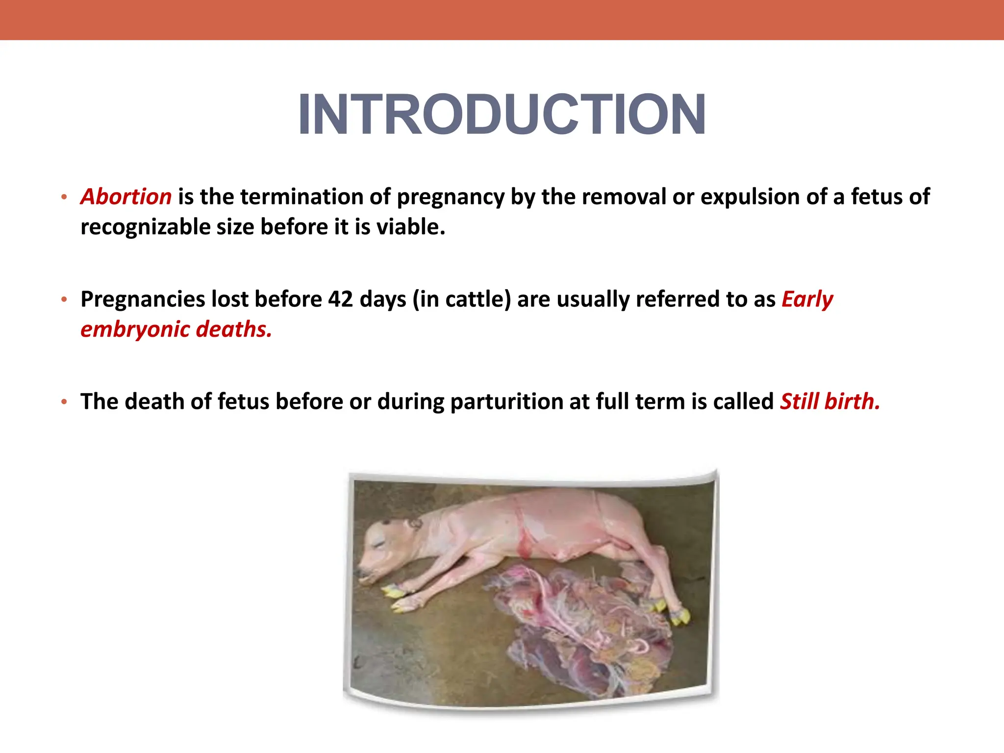 ABORTION.pptx