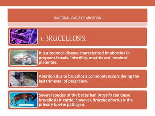 ABORTION.pptx | Infectious Diseases | Diseases and Conditions