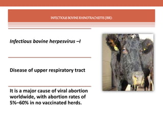 ABORTION.pptx | Infectious Diseases | Diseases and Conditions