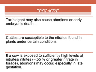 ABORTION.pptx