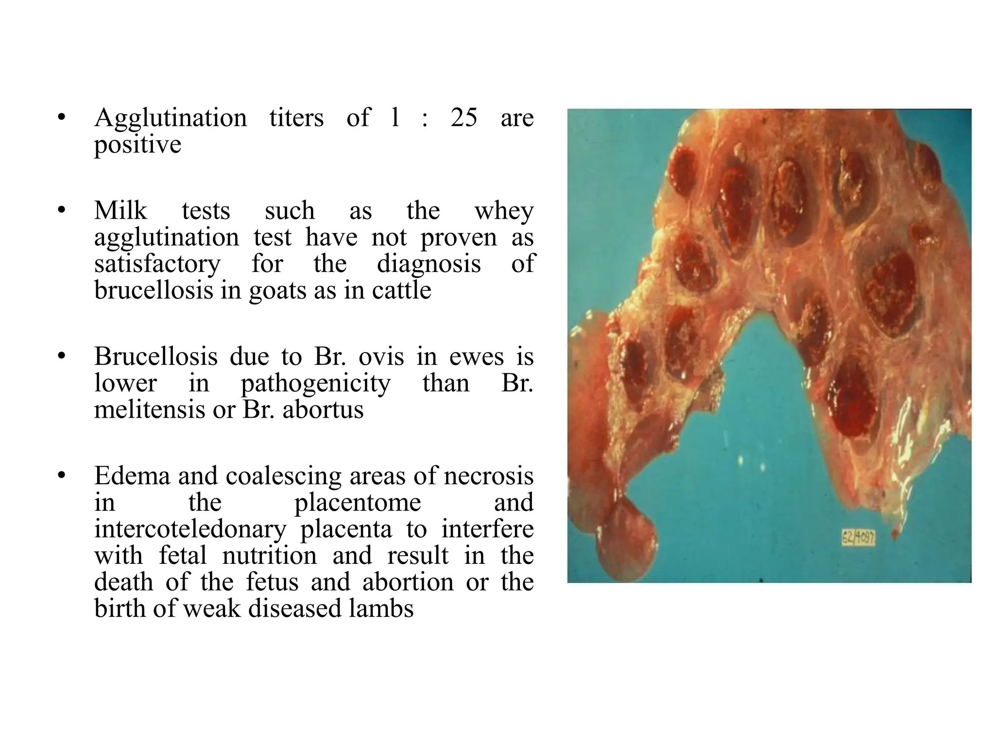 various causes of Abortion in Sheep and Goat.pptx