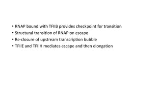 Abortive initiation | PPTX