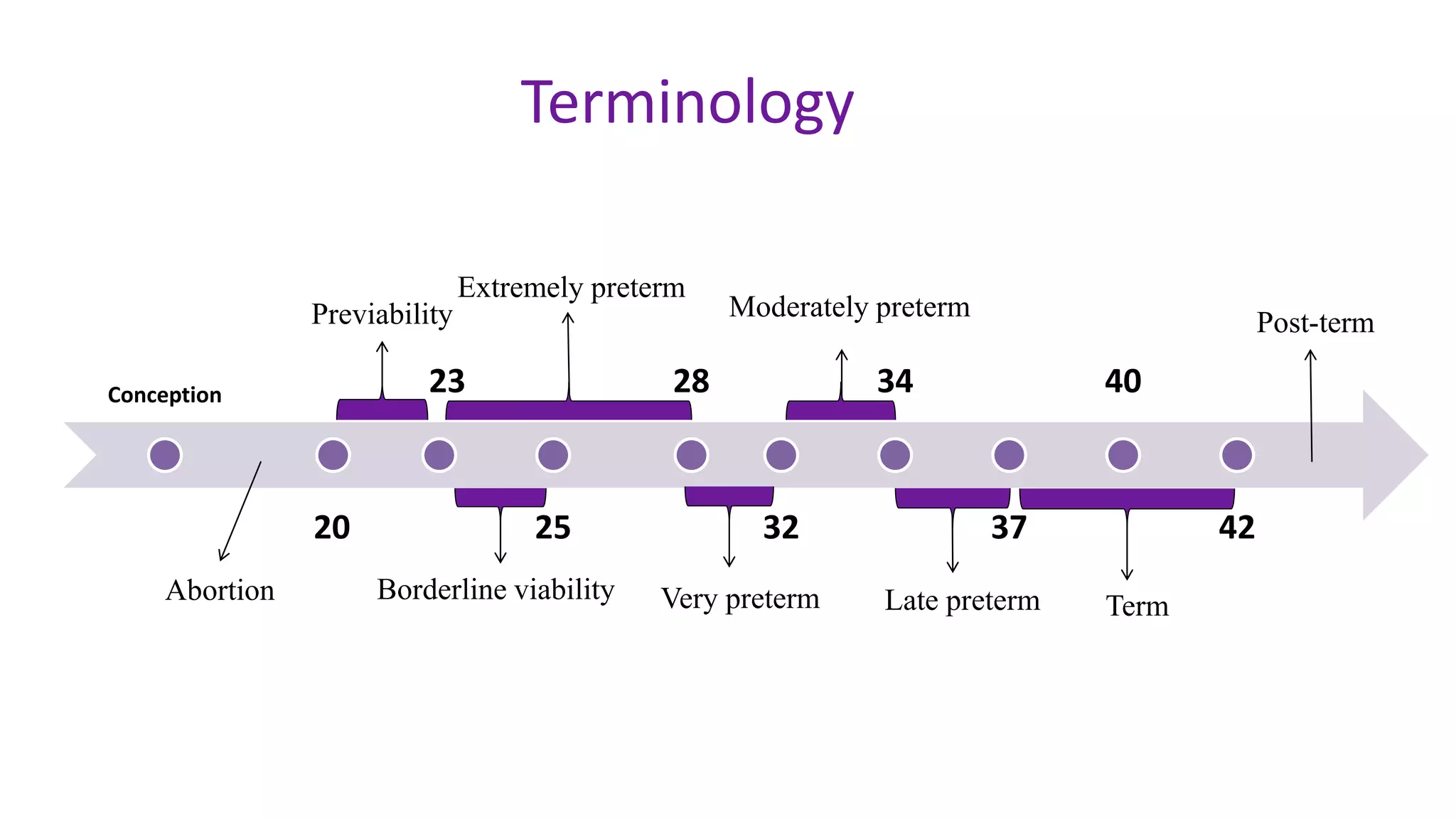 Challenges and Management of Late Preterm Infants | PPTX