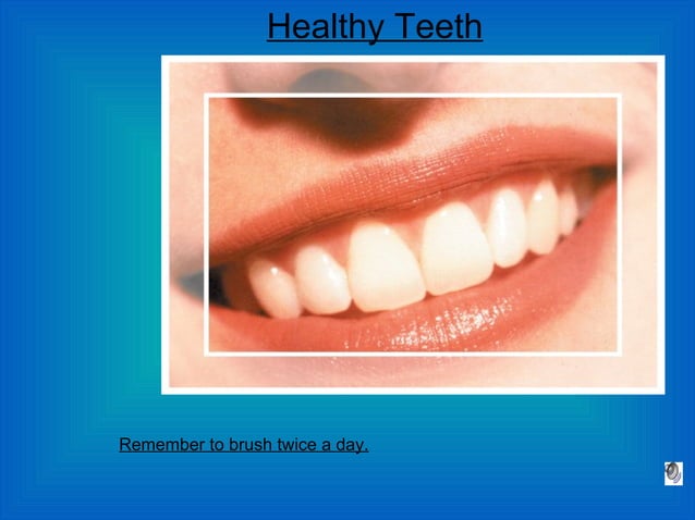 About Teeth | PPT