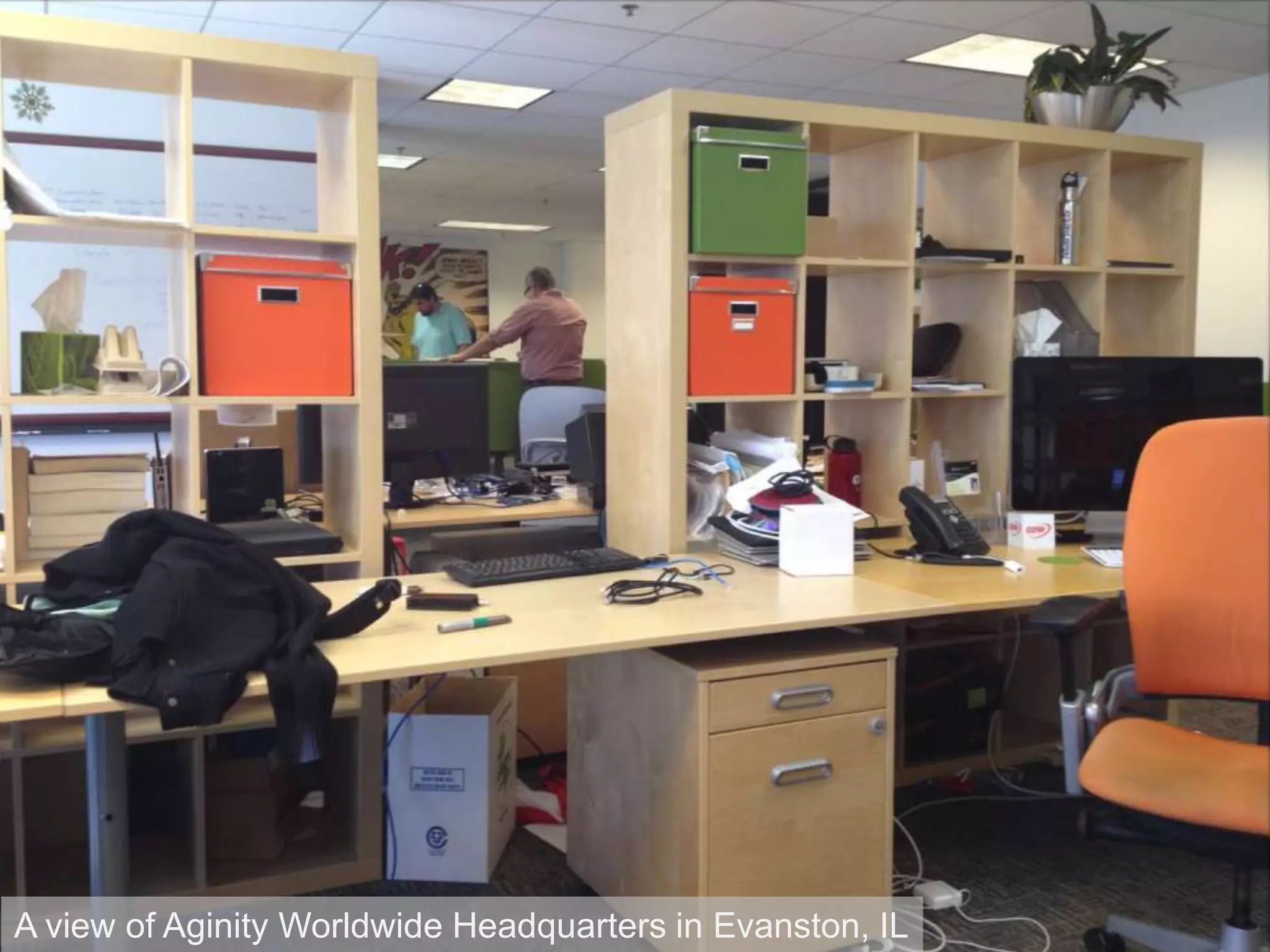 The Fun Side of Aginity | PPTX | Gardening | Home & Garden