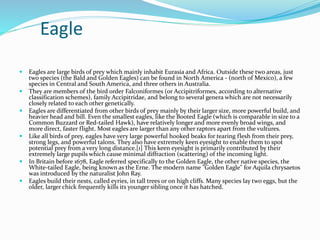 About animals | PPTX