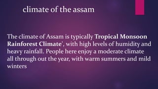 about assam presentation5868.pptx