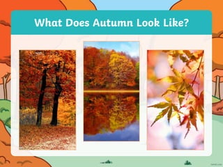 About Autumn.pptx