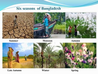 About Bangladesh (At a glance ) | PPTX