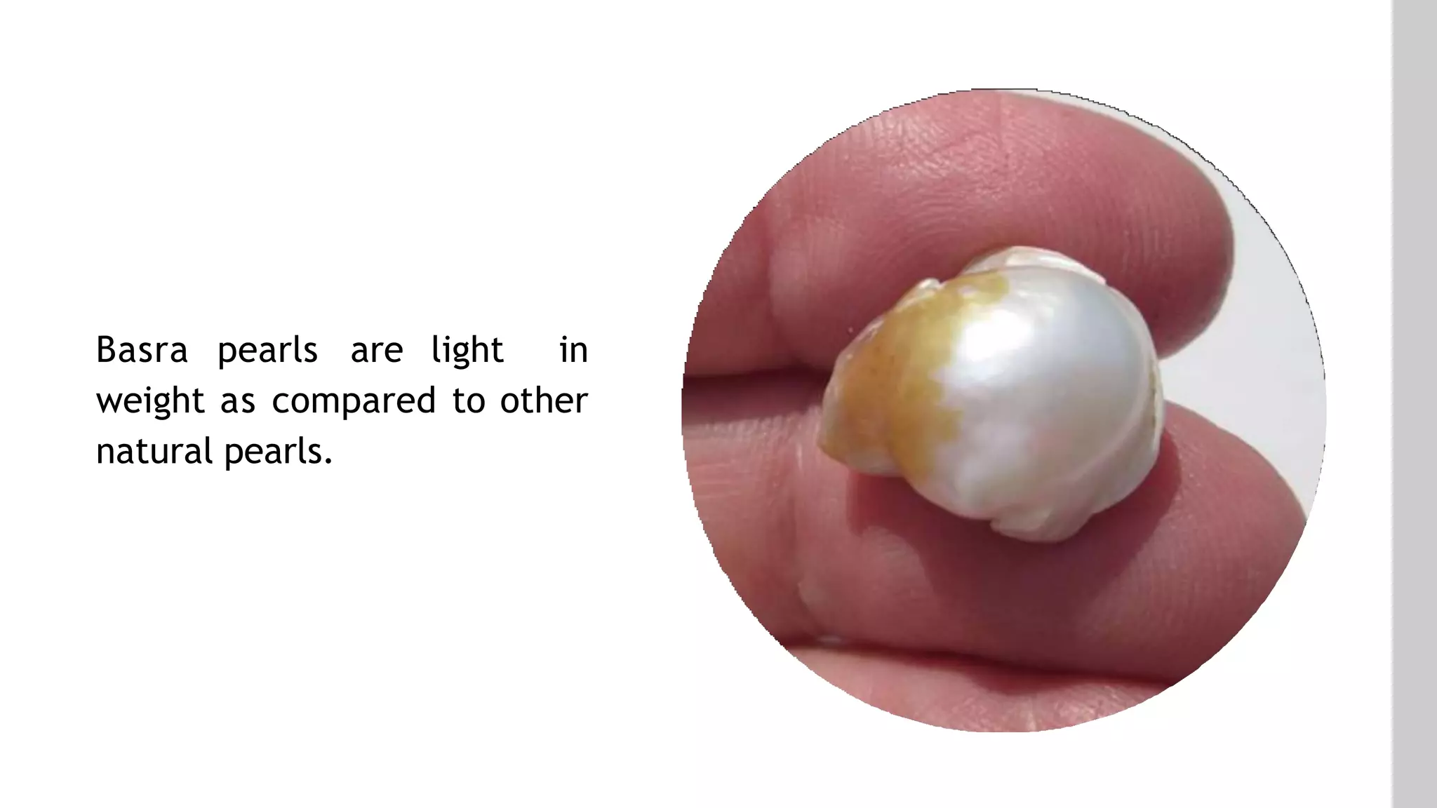 About basra pearl converted | PPT