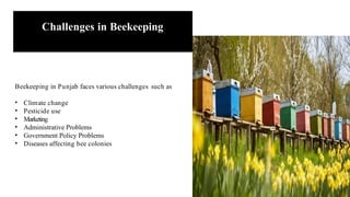 About Beekeeping ,Importance of Bees and Challenges in Beekeeping | PPT