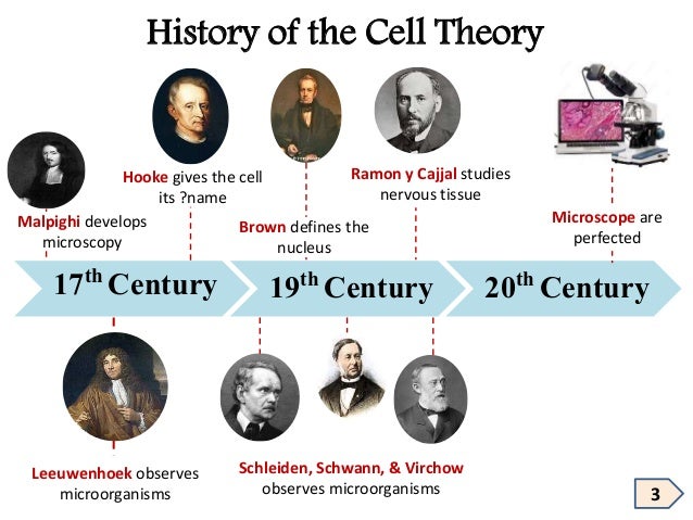 About cell stem cells