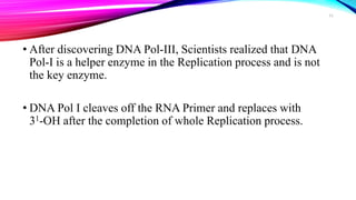 Quick points on DNA Polymerase I | PPTX