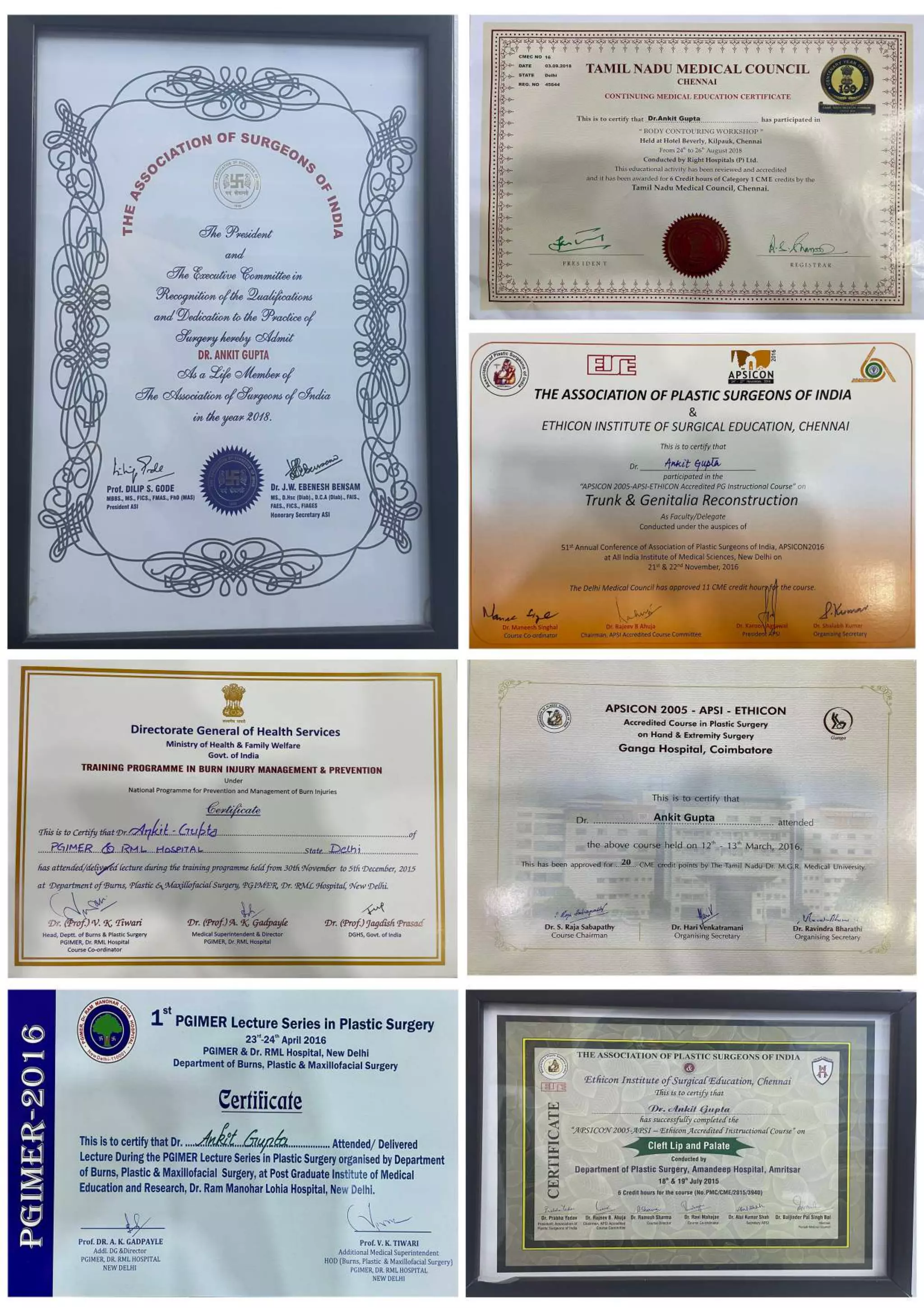 About Dr. Ankit Gupta.pdf