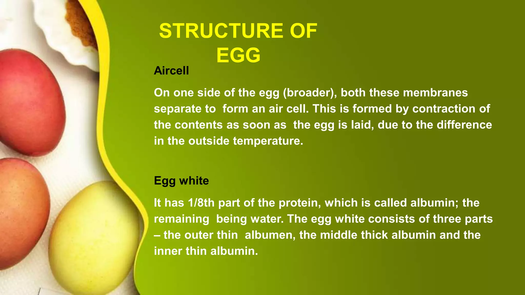 About eggs | PPT