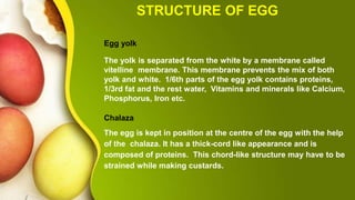 About eggs | PPT