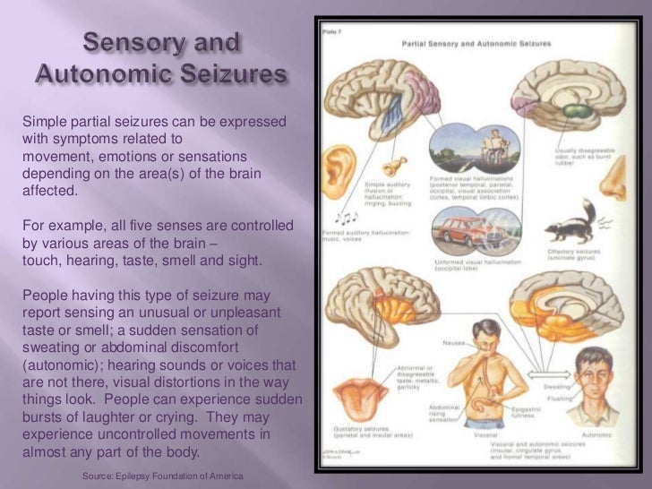 About epilepsy - The Matty Fund