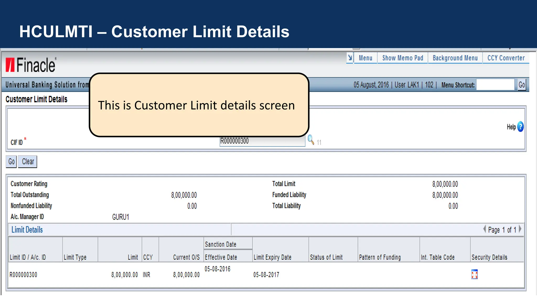 Learn about FINACLE application from INFOSYS | PDF