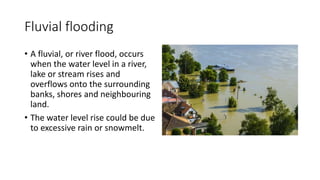 Disaster Management : Strategies and Plans for Floods. | PPTX
