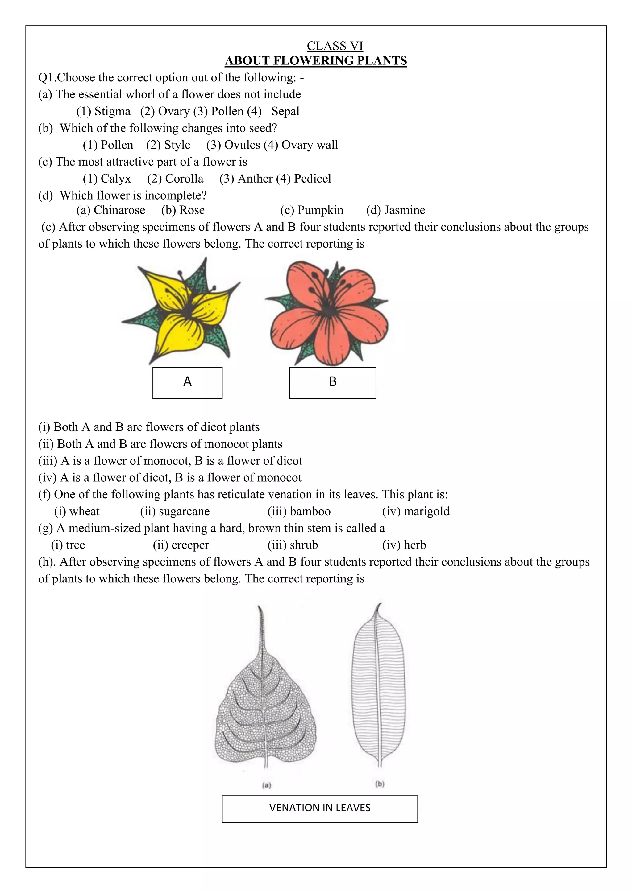About flowering plants | PDF