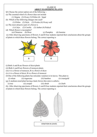 About flowering plants | PDF
