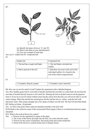 About flowering plants | PDF