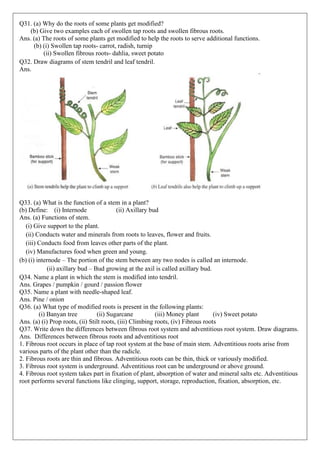 About flowering plants | PDF