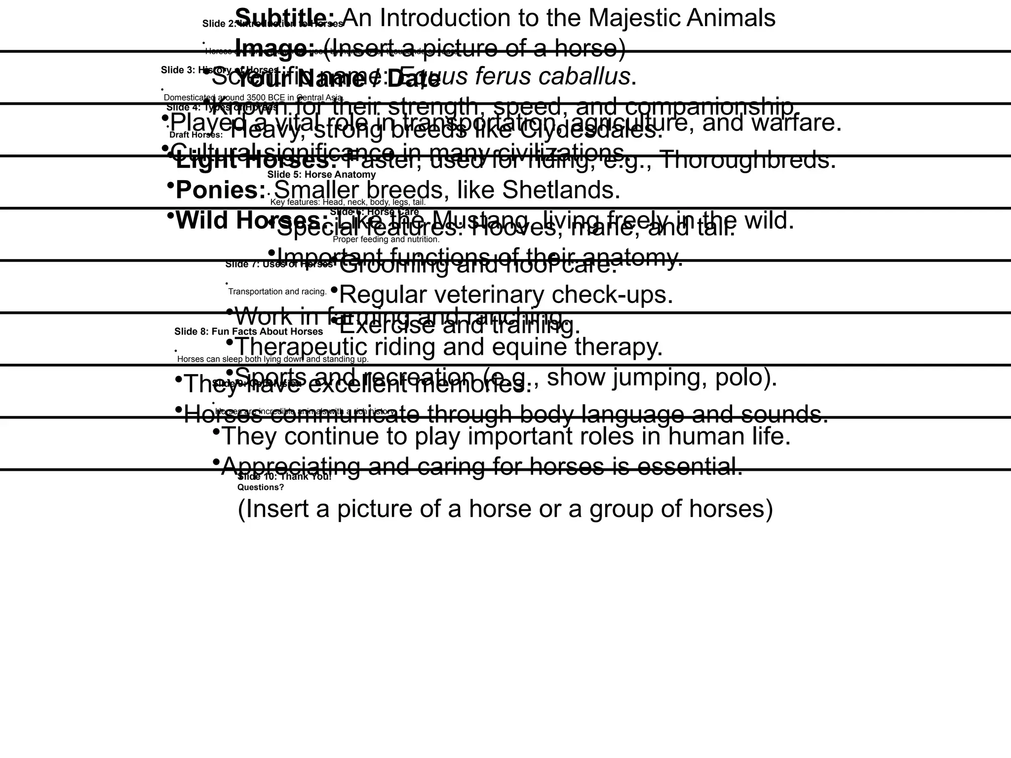 about horse presentation and other kinds | PPTX