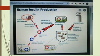 About insulin | PPT