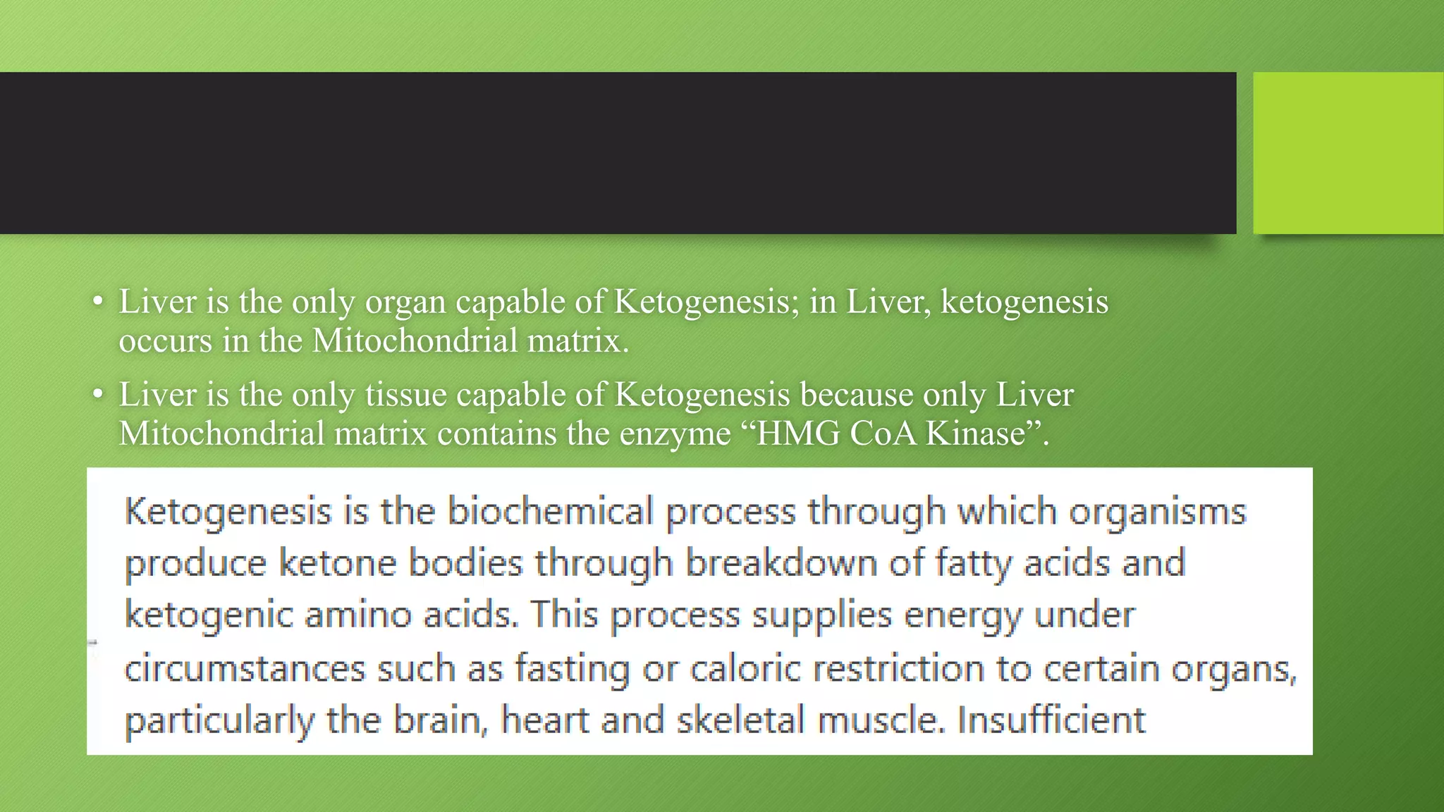 Learn Ketone Bodies. | PPTX