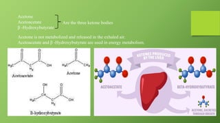 Learn Ketone Bodies. | PPTX