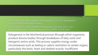 Learn Ketone Bodies. | PPTX