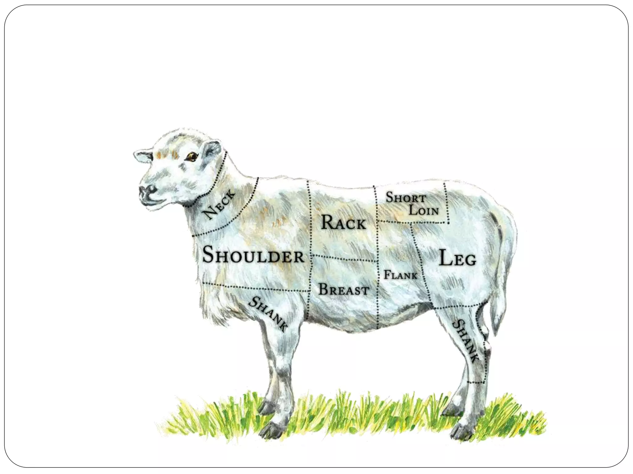 About lamb and mutton | PPTX