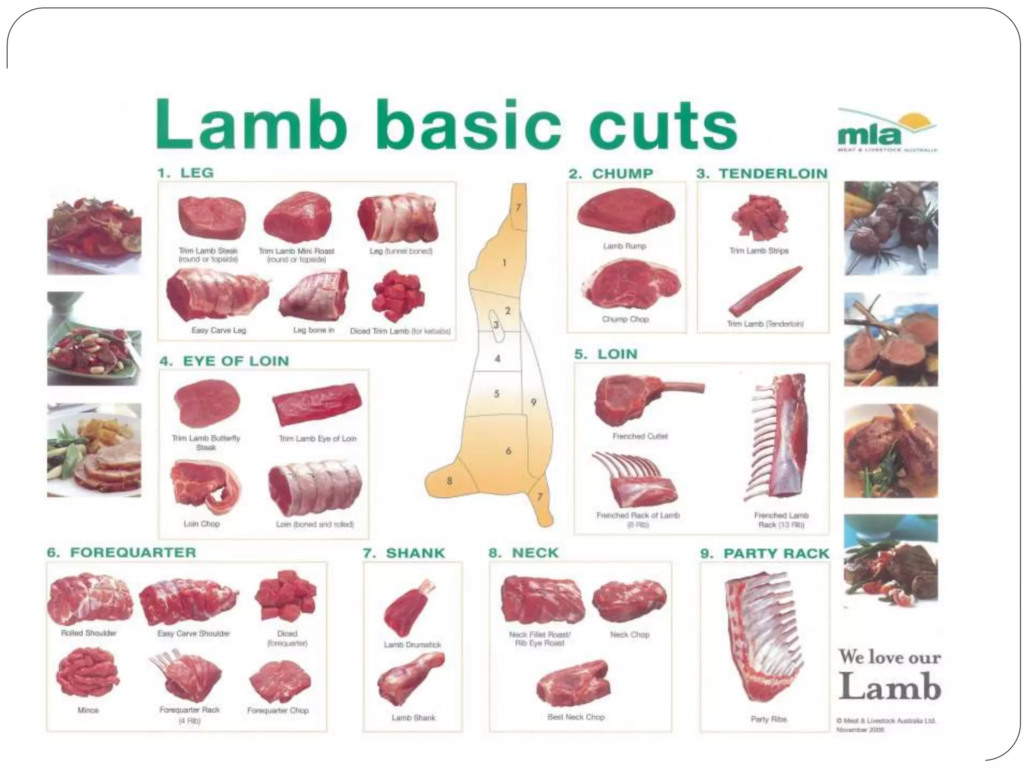 About lamb and mutton | PPTX